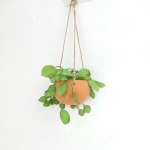 Target | Accents | Target Hanging Plant Boho Planter | Poshmark